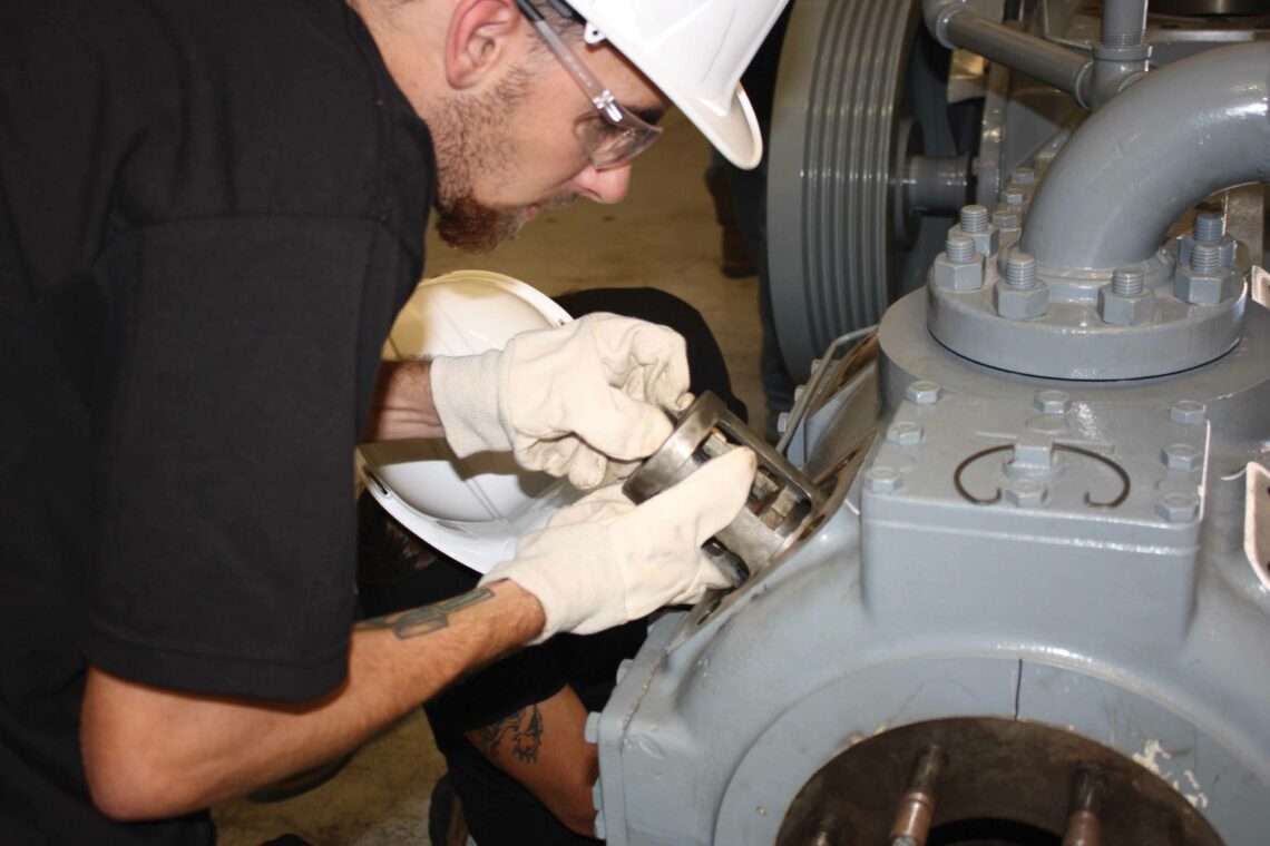 The 8 Domains of Mental Wellness – Southern States Millwright Regional ...